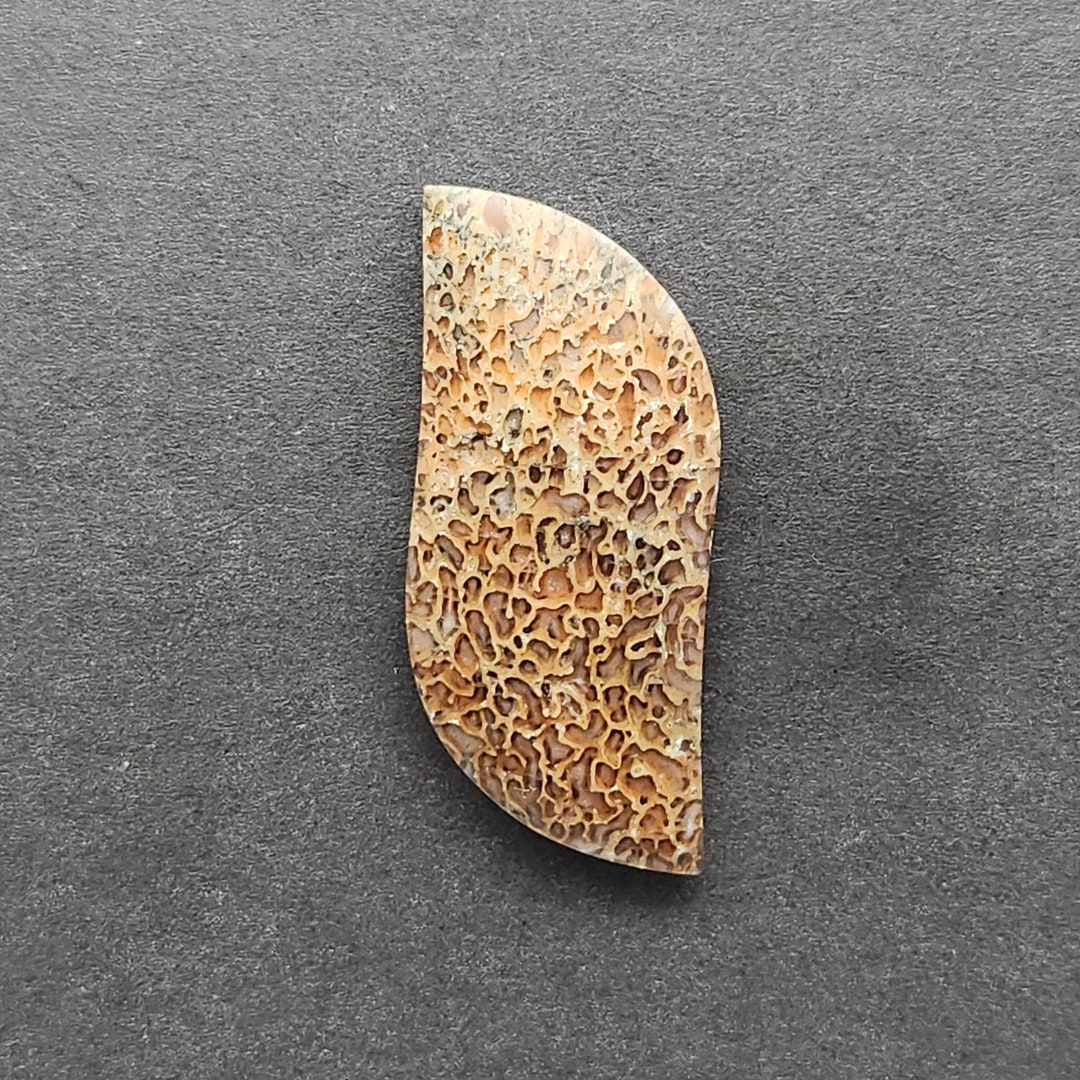 Dinosaur Bone Gembone Cabochon, Designer Cabochon, Hand Cut, Freeform ...