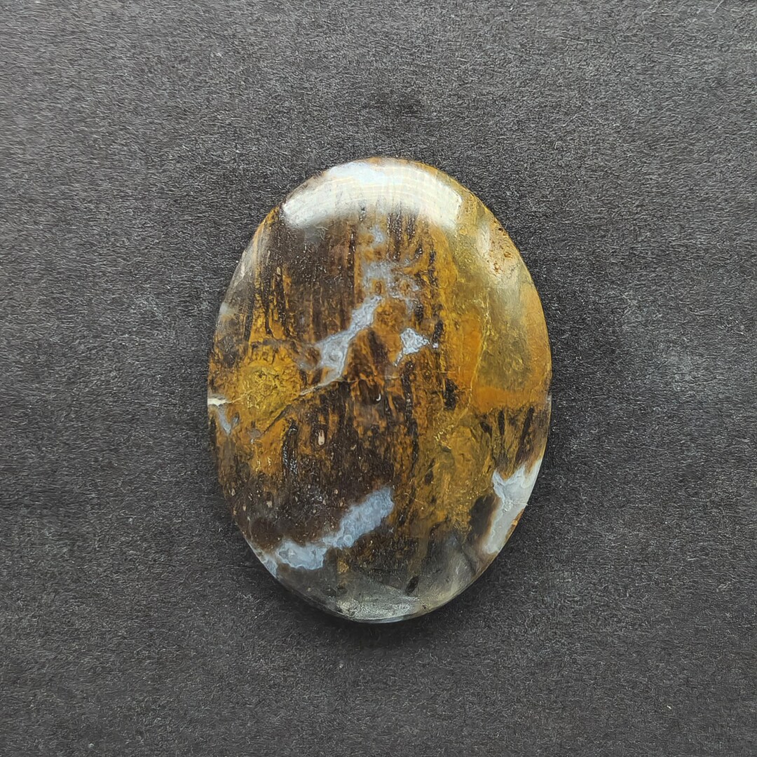 Parker Petrified Shrink Palm Wood Cabochon, Designer Cabochon, Hand Cut ...