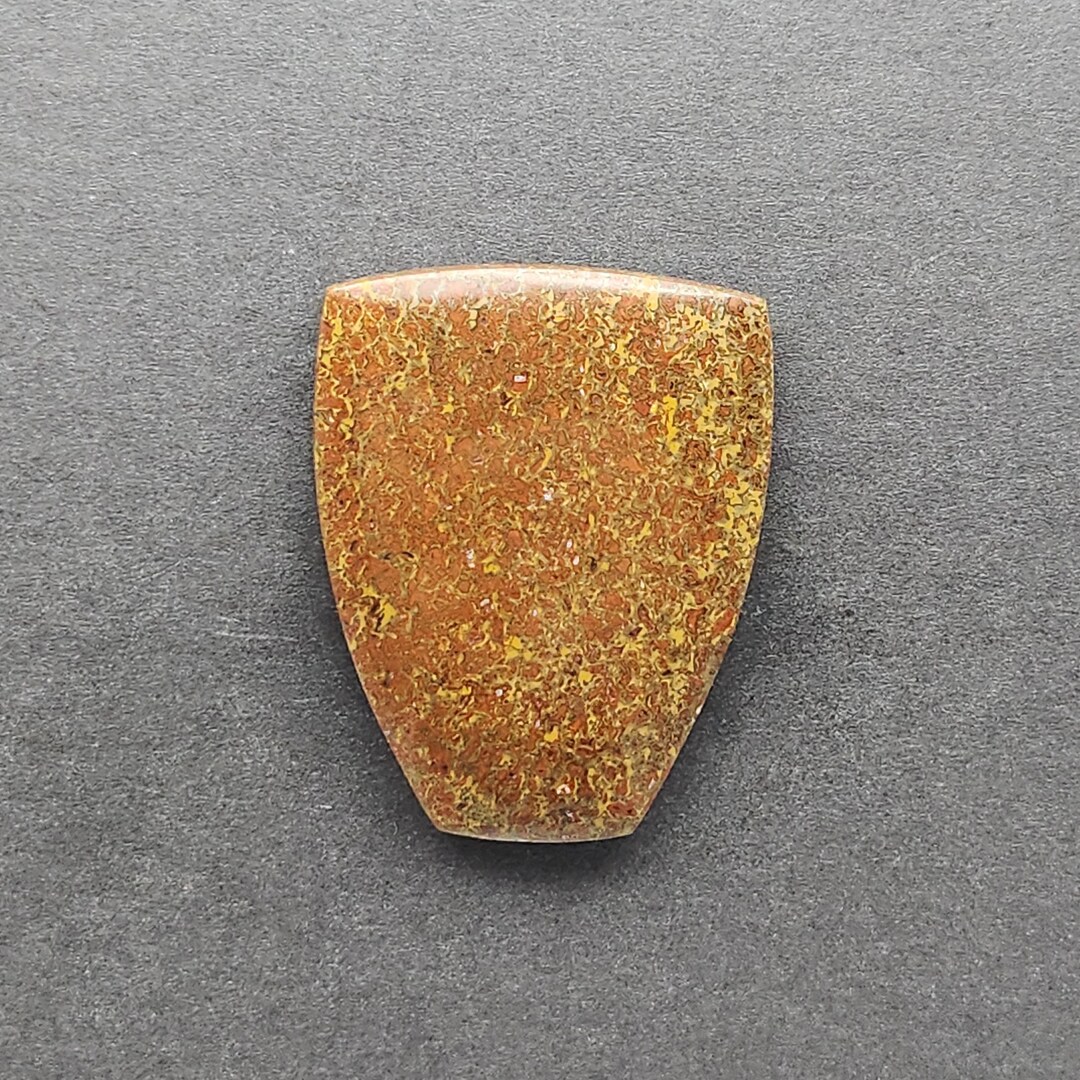 Dinosaur Bone Gembone Cabochon, Designer Cabochon, Hand Cut, Freeform ...