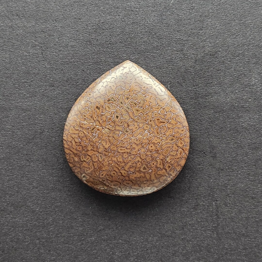 Dinosaur Bone Gembone Cabochon, Designer Cabochon, Hand Cut, Teardrop ...