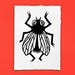 FLY LINOCUT PRINT, Hand Printed Linocut/block Print on Paper - Etsy