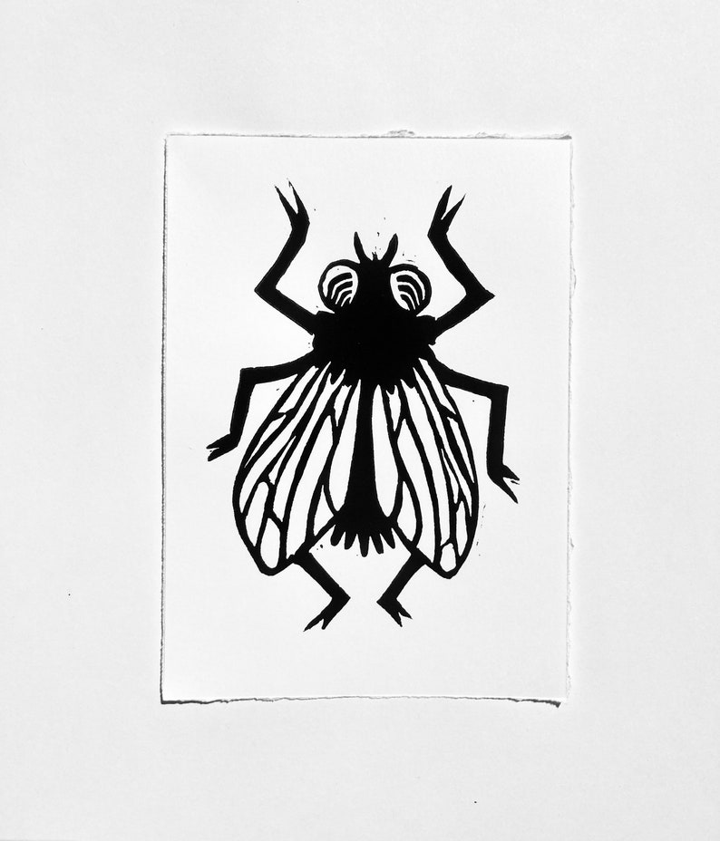FLY LINOCUT PRINT, Hand Printed Linocut/block Print on Paper - Etsy