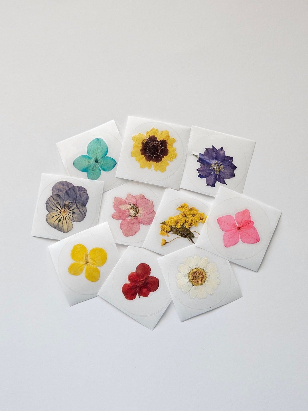 Flower Stickers (10), Real Pressed Flower Stickers, Round Floral ...