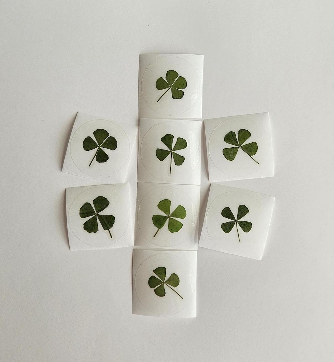 4 Leaf Clover Stickers, Real Four Leaf Clover Stickers, Round Floral ...