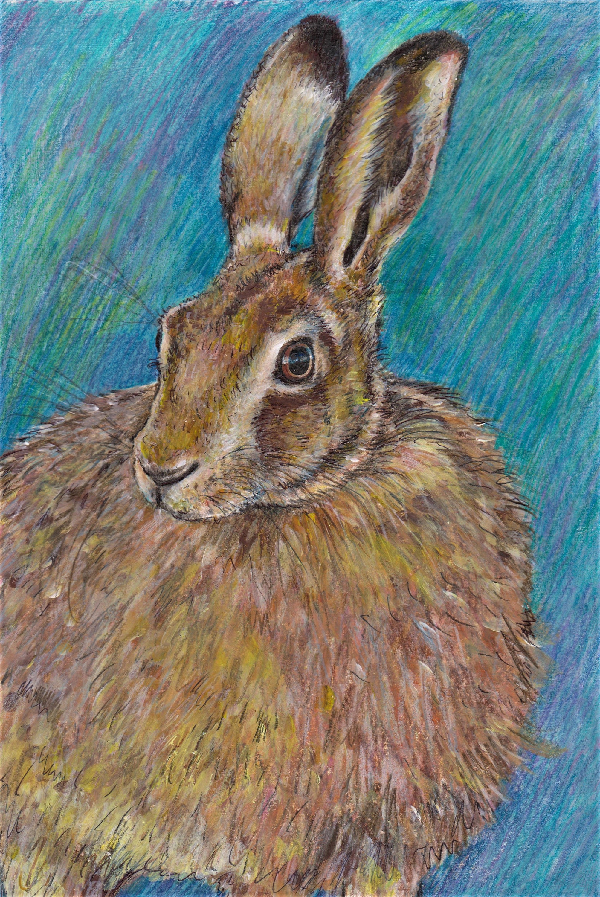A6 Greetings Card With Hare Artwork - Etsy