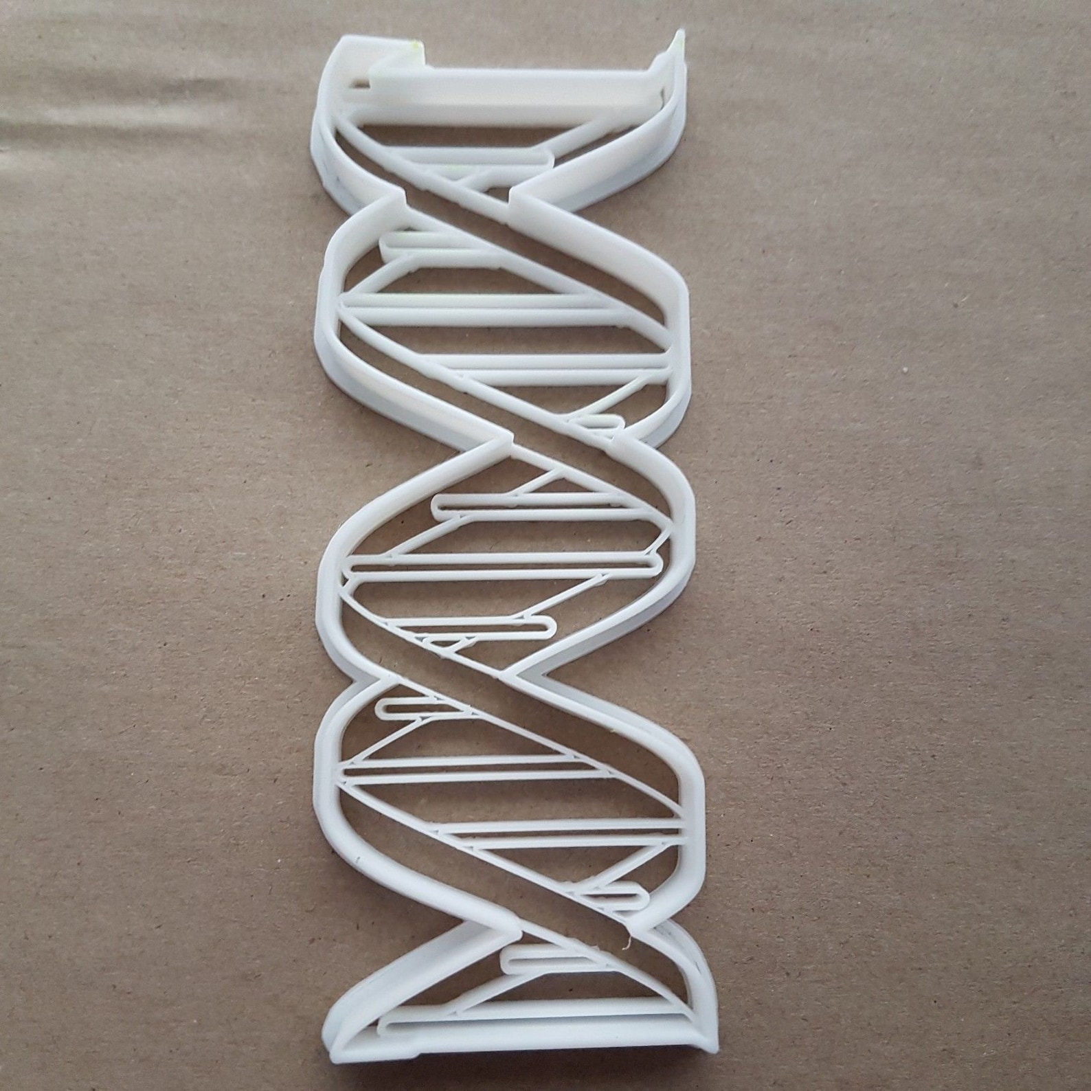 DNA Genetic Organism Human Body Shape Cookie Cutter Dough Biscuit ...