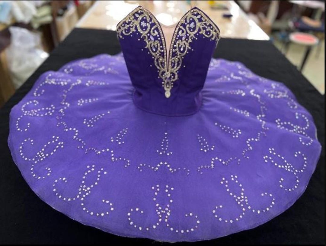 P-017 Professional Purple Platter Ballet Tutu YAGP - Etsy