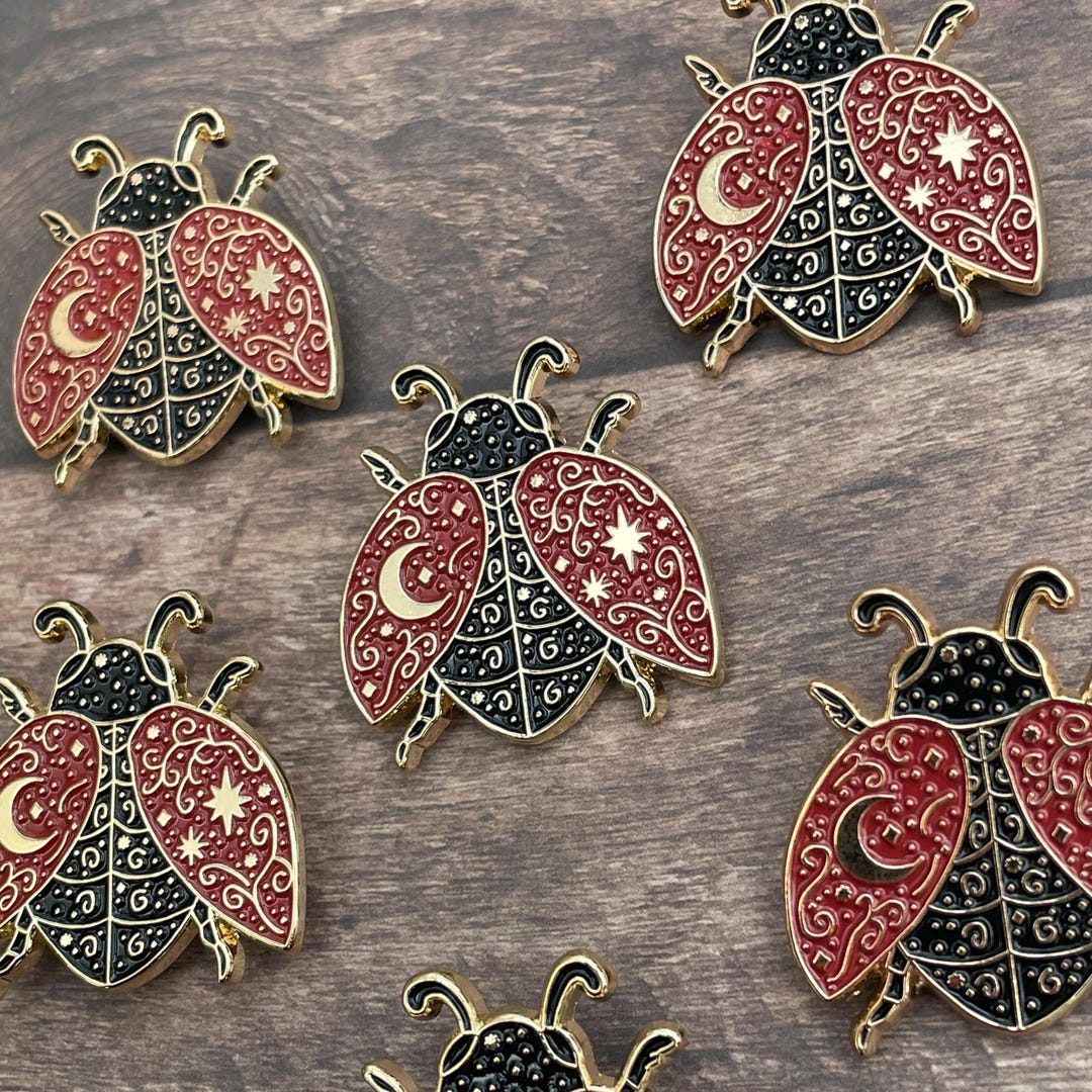 Mystical Ladybird, Ladybug Bettle Enamel Pin, Celestial Moon & Star - Etsy