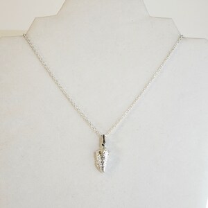 Men's Conch Seashell Pendant, Necklace in 925 Sterling Silver Plated ...