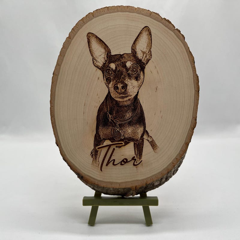 Wood Burn Pet Art - Etsy