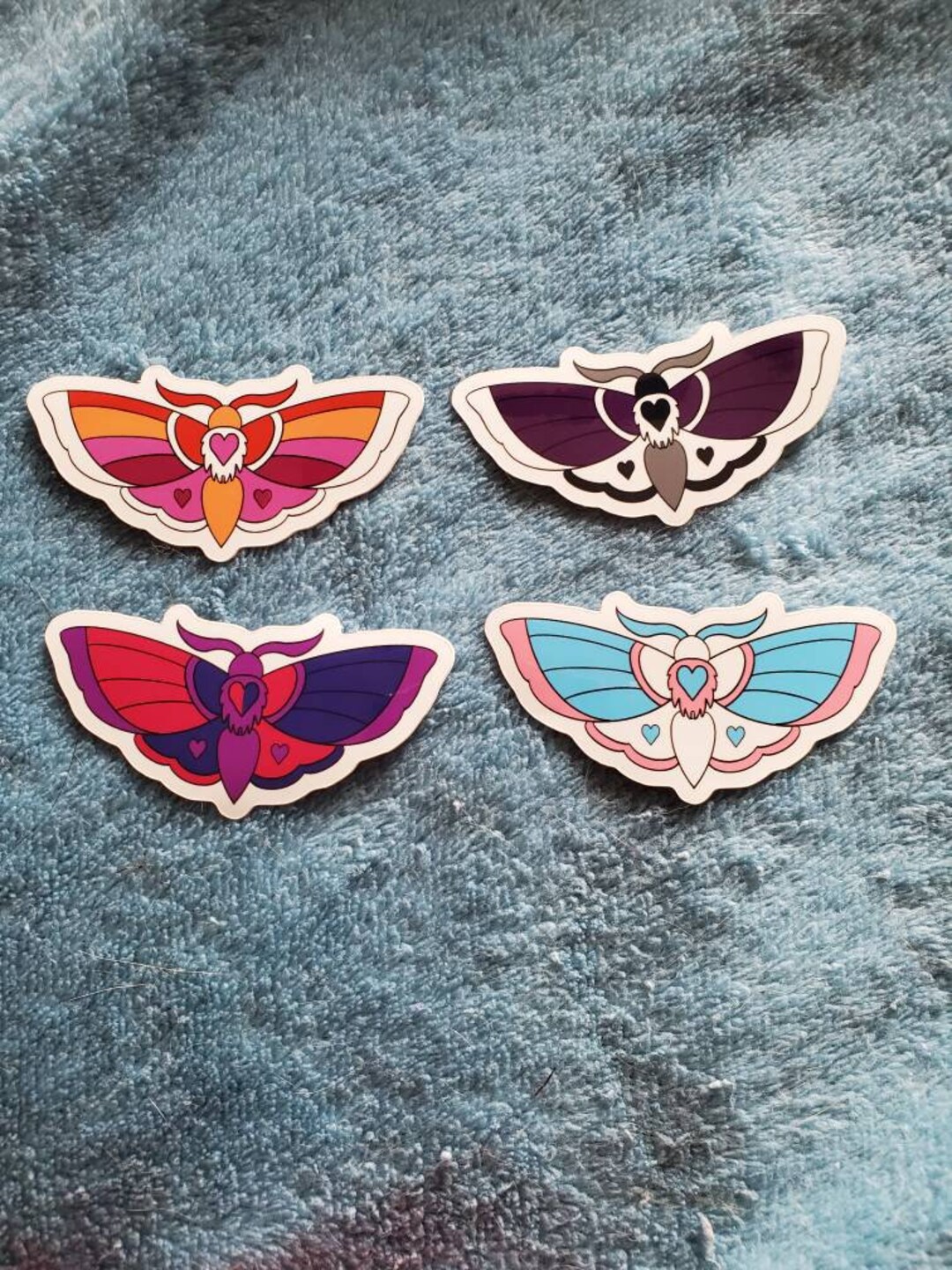Pride Moth LGBTQ+ (bi, Trans, Aro/ace/demi, Lesbian) Pride Month ...