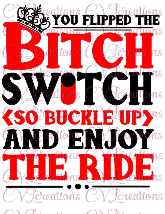 You Flipped the Bitch Switch so Buckle up and Enjoy the Ride - Etsy