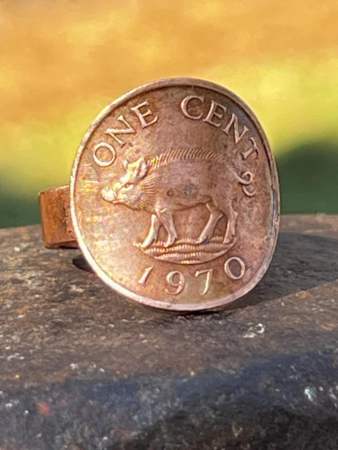 Pig Ring | Pig Coin Ring | Bermuda Ring | Hog Ring | Farm Animal ...
