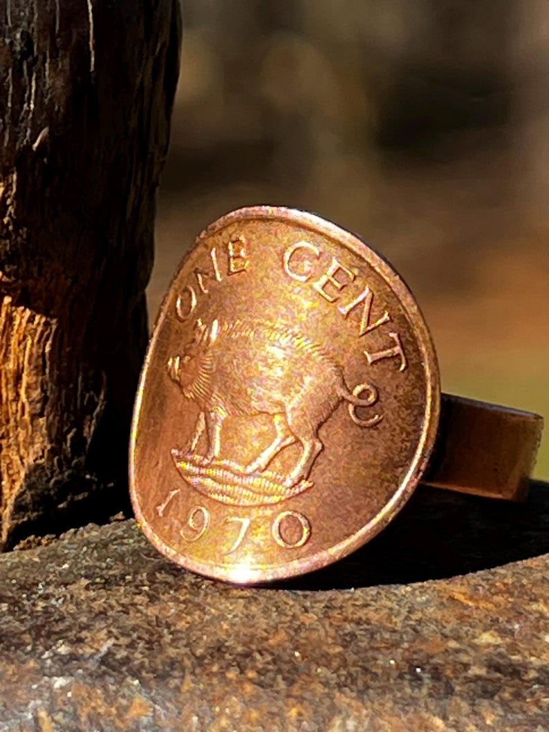 Pig Ring | Pig Coin Ring | Bermuda Ring | Hog Ring | Farm Animal ...