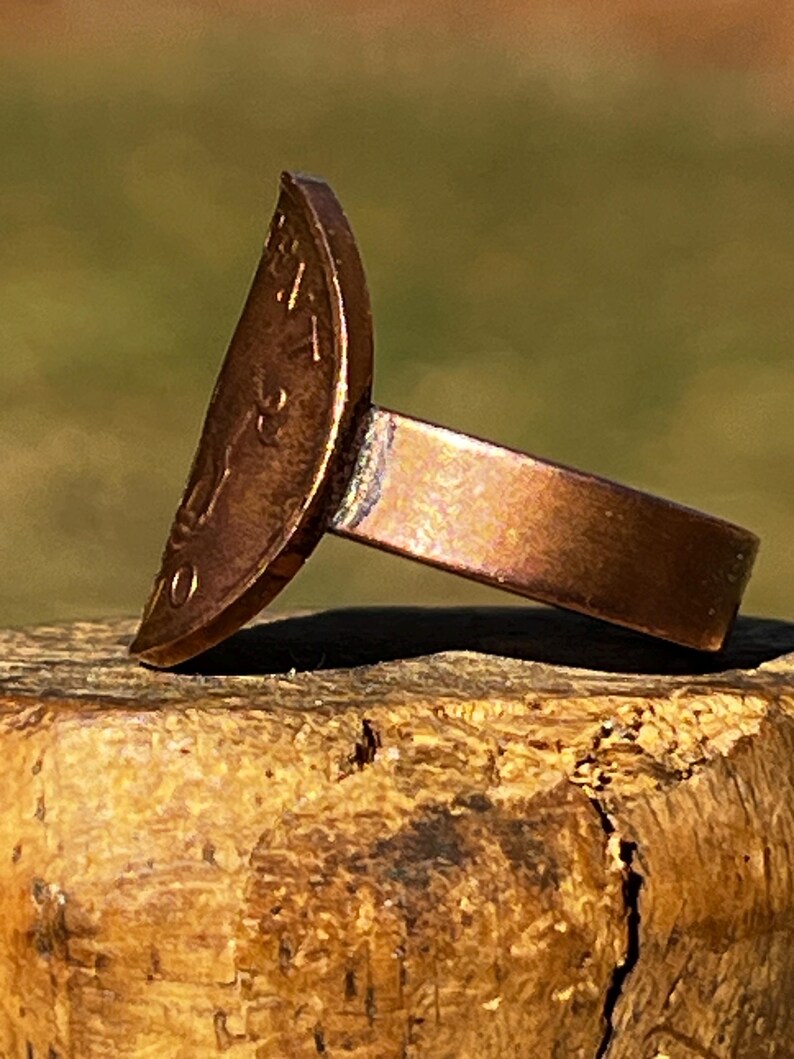 Pig Ring | Pig Coin Ring | Bermuda Ring | Hog Ring | Farm Animal ...