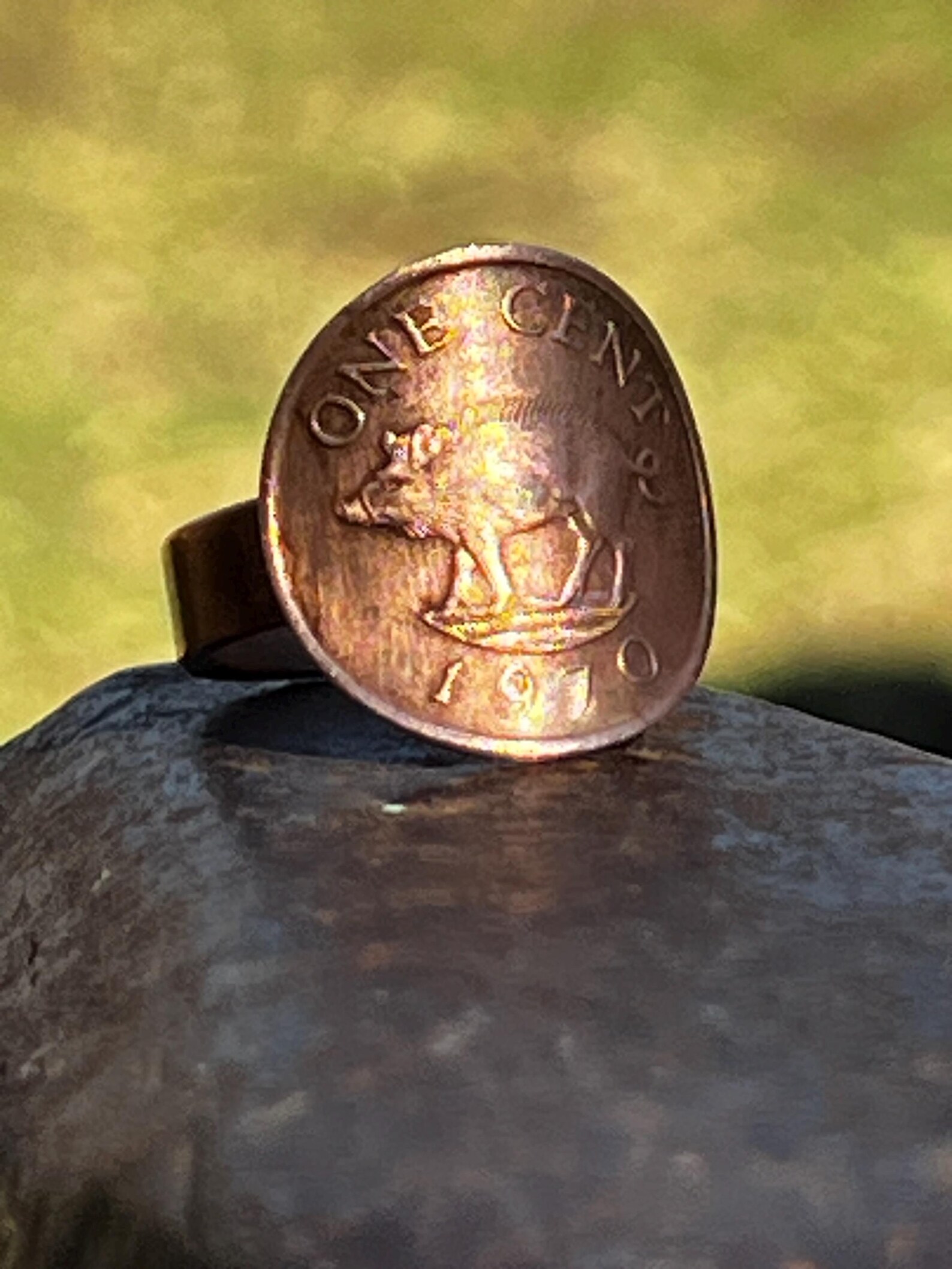 Pig Ring | Pig Coin Ring | Bermuda Ring | Hog Ring | Farm Animal ...