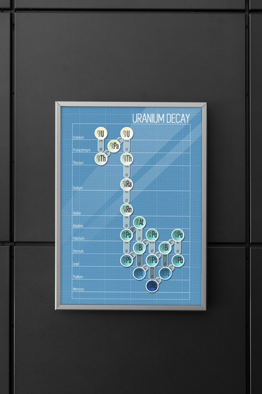 Uranium Decay Chain | Nuclear Science Wall Art | A2 | A3 | A4 ...