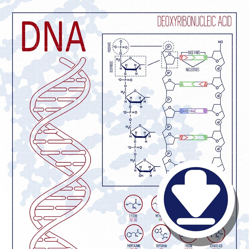DNA | Digital File | Instant Download | Print at Home | Phone Wallpaper ...