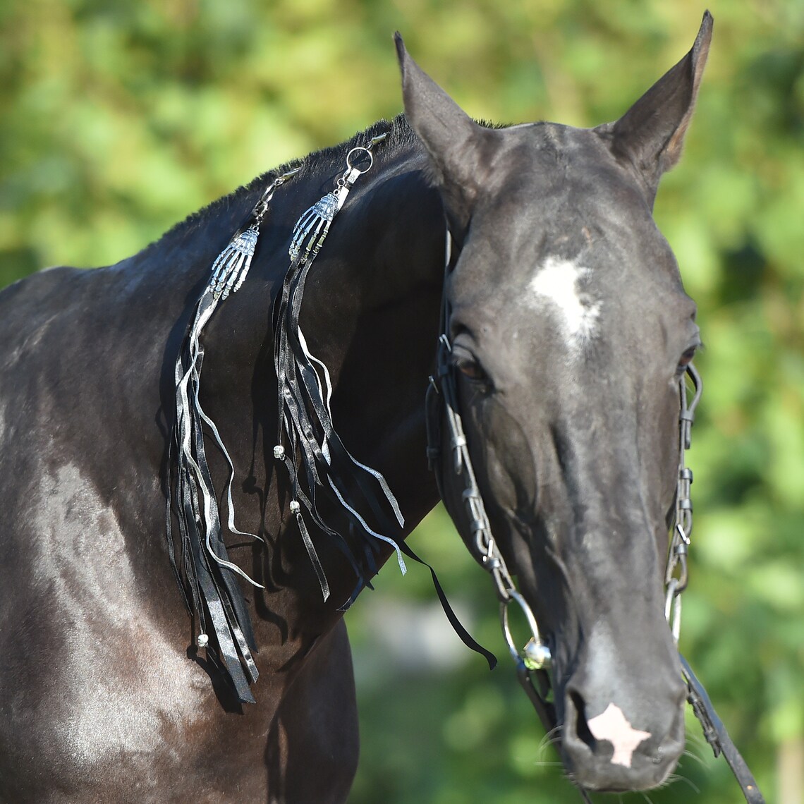 Goth Horse Tack Attraction Mane Jewelry for Horse Handmade | Etsy