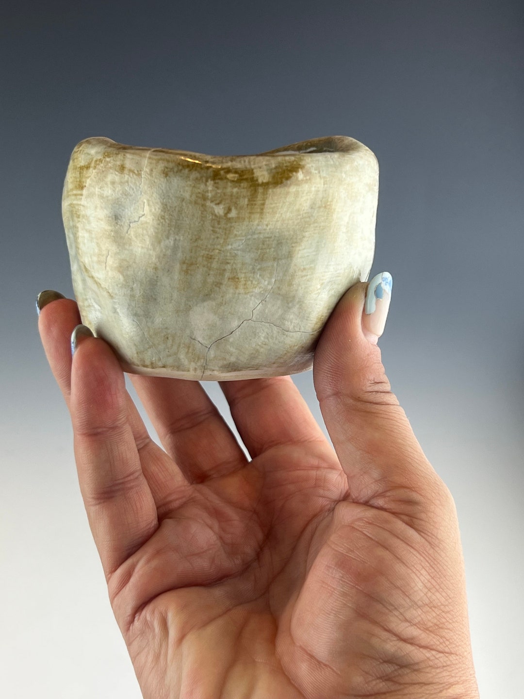 3” Light Green Planter With Drain B086 - Etsy