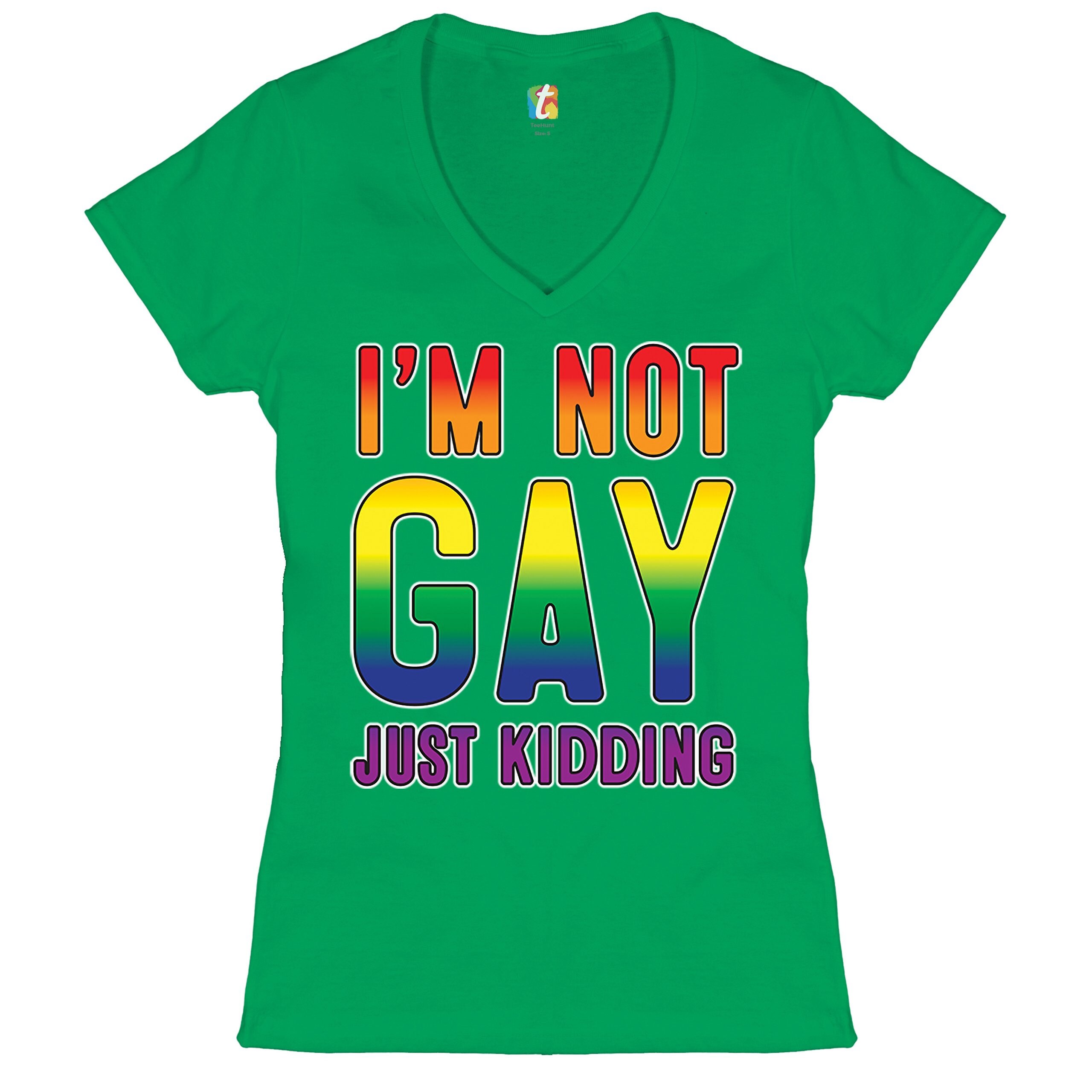 Im Not Gay Just Kidding Womens V-Neck T-shirt Love Is Love | Etsy