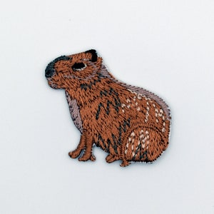 Iron-on Capybara Patch/nature Animal Badge/capybara Badge/decorative ...