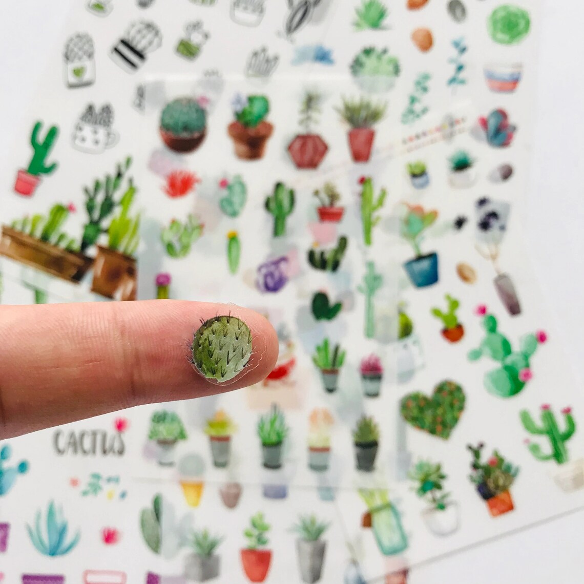 6 Sheets/pack Cactus Sticker - Etsy Canada