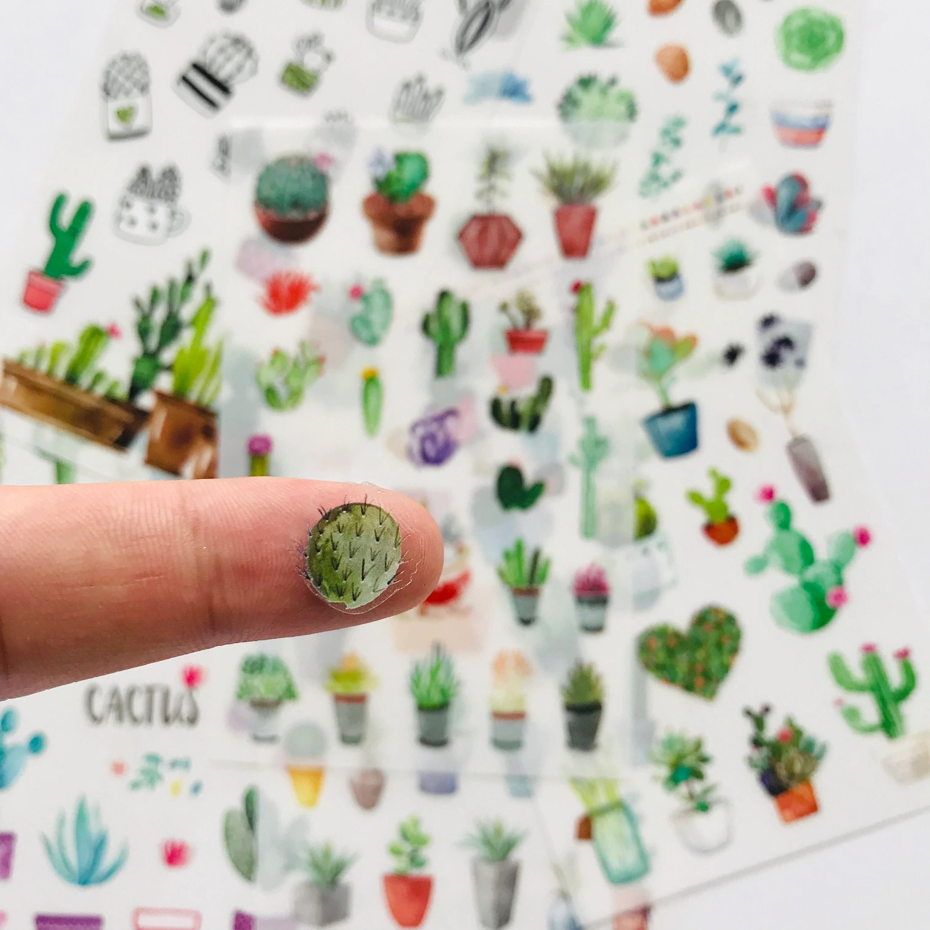 6 Sheets/pack Cactus Sticker - Etsy Canada
