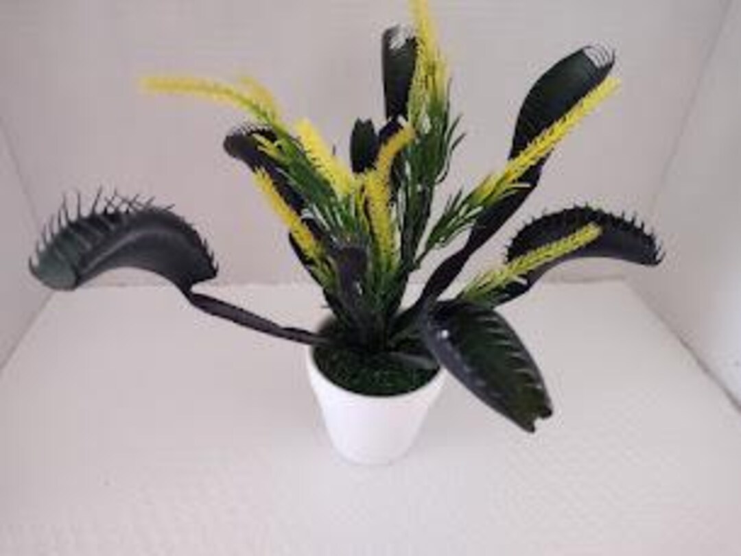 Artificial Venus Fly Trap BLACK in Pot - Etsy