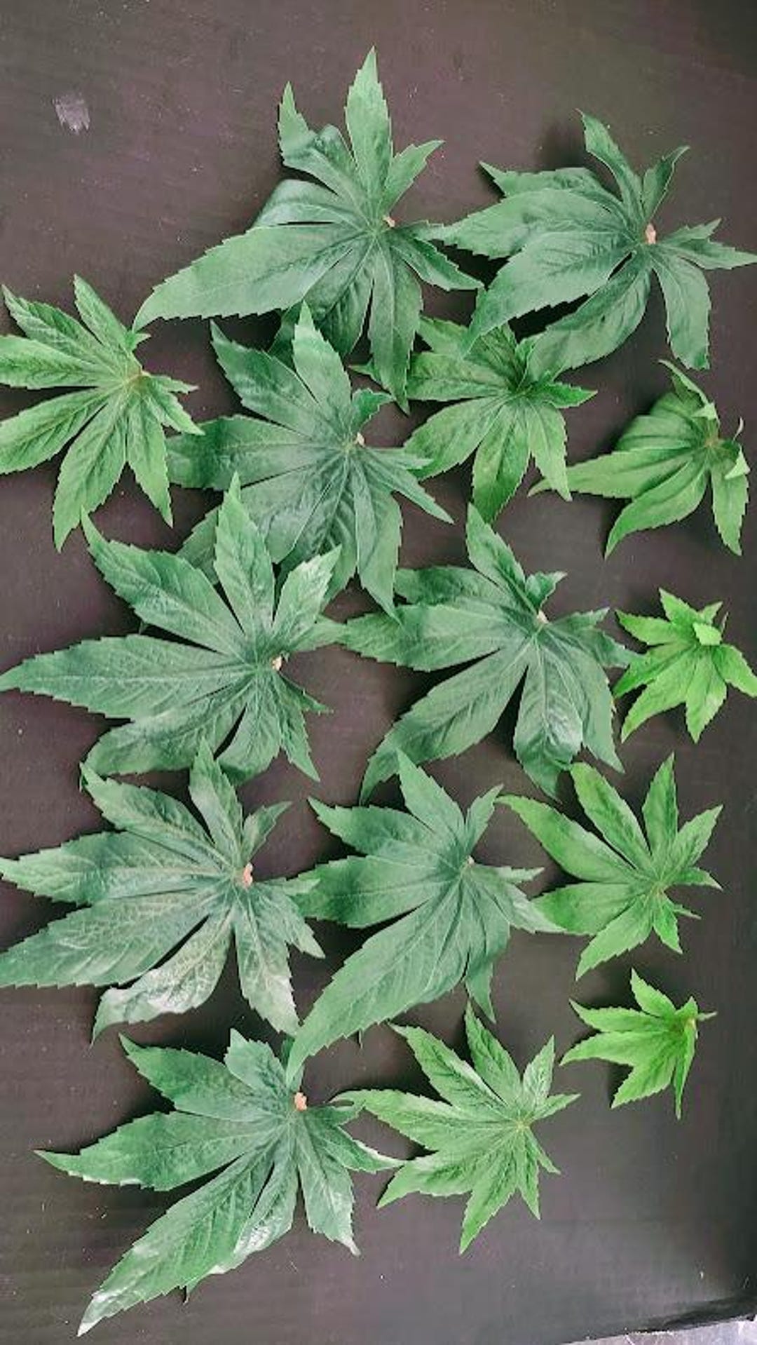 Artificial Polyproplene Marijuana Leaves, Cannabis, Pot, Weed ...