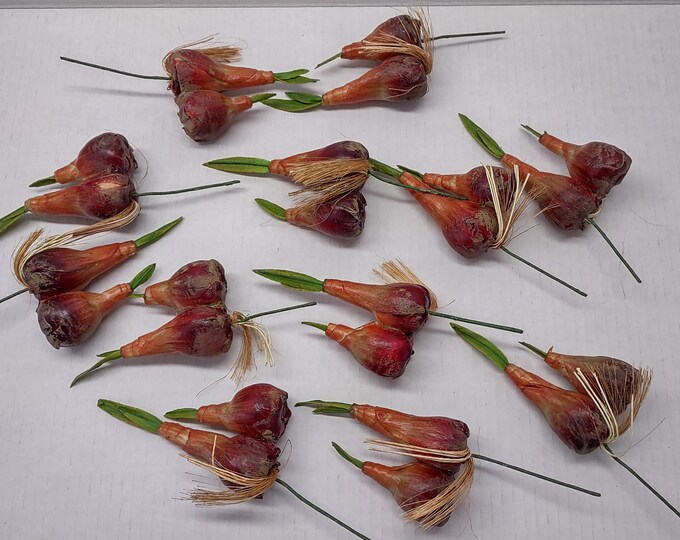 Small Artificial DOUBLE Sprouted Flower Bulbs 60353 - Etsy