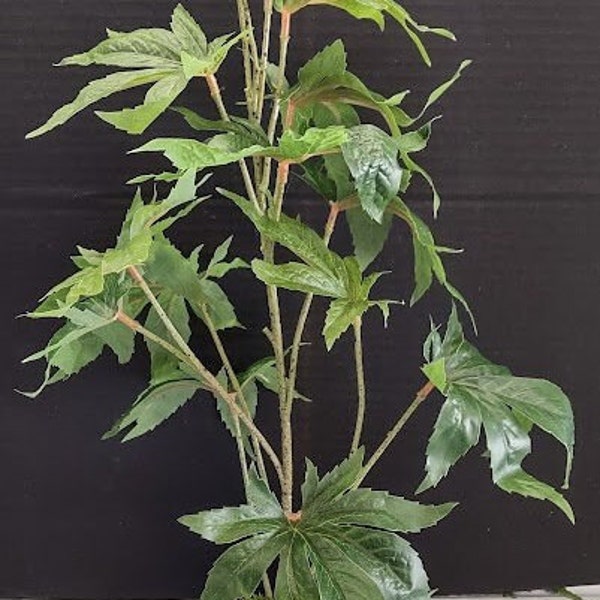 Fake Marijuana Plant - Etsy