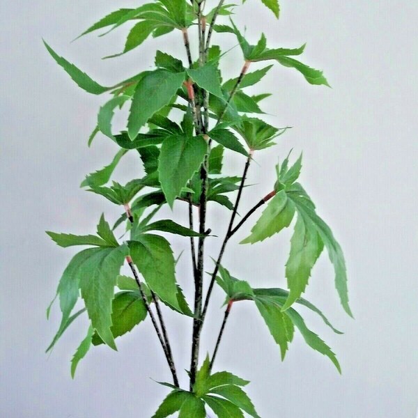 Fake Marijuana Plant - Etsy