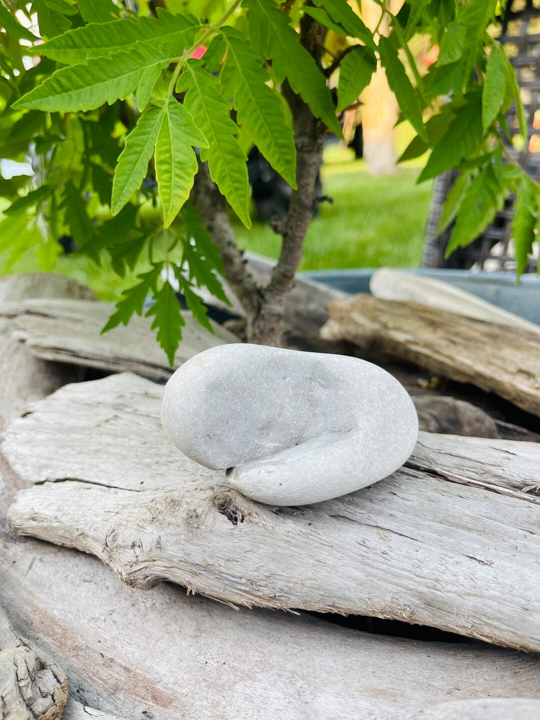 Ring Holder Beach Tumbled Stones Cavity Decor/ Zen Rock Supply ...