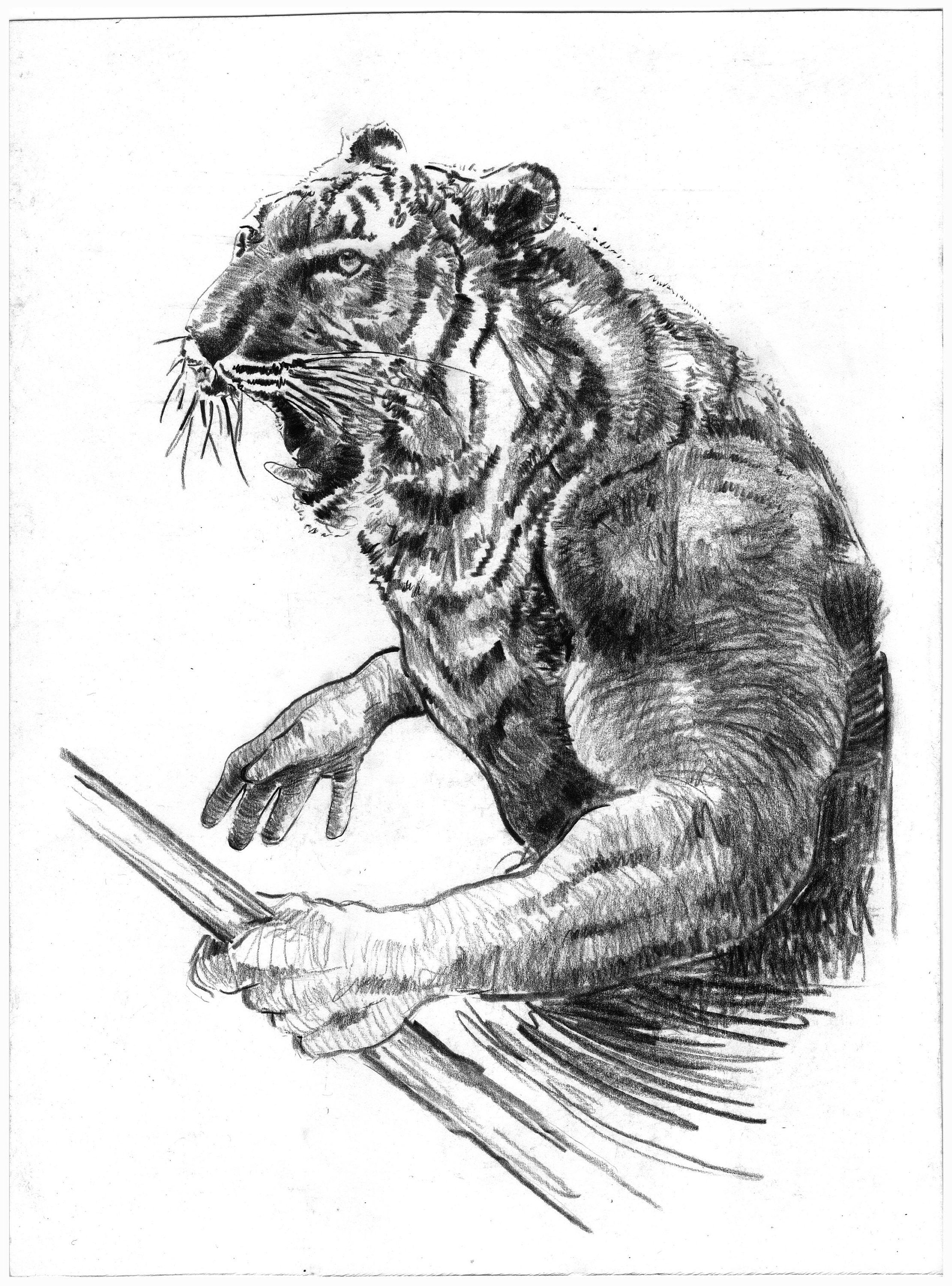 Warrior Drawings In Pencil