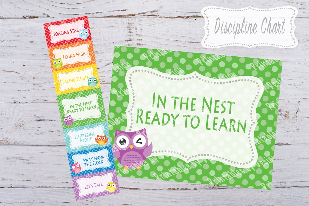 Rainbow Owls Behavior Clip Chart - Etsy