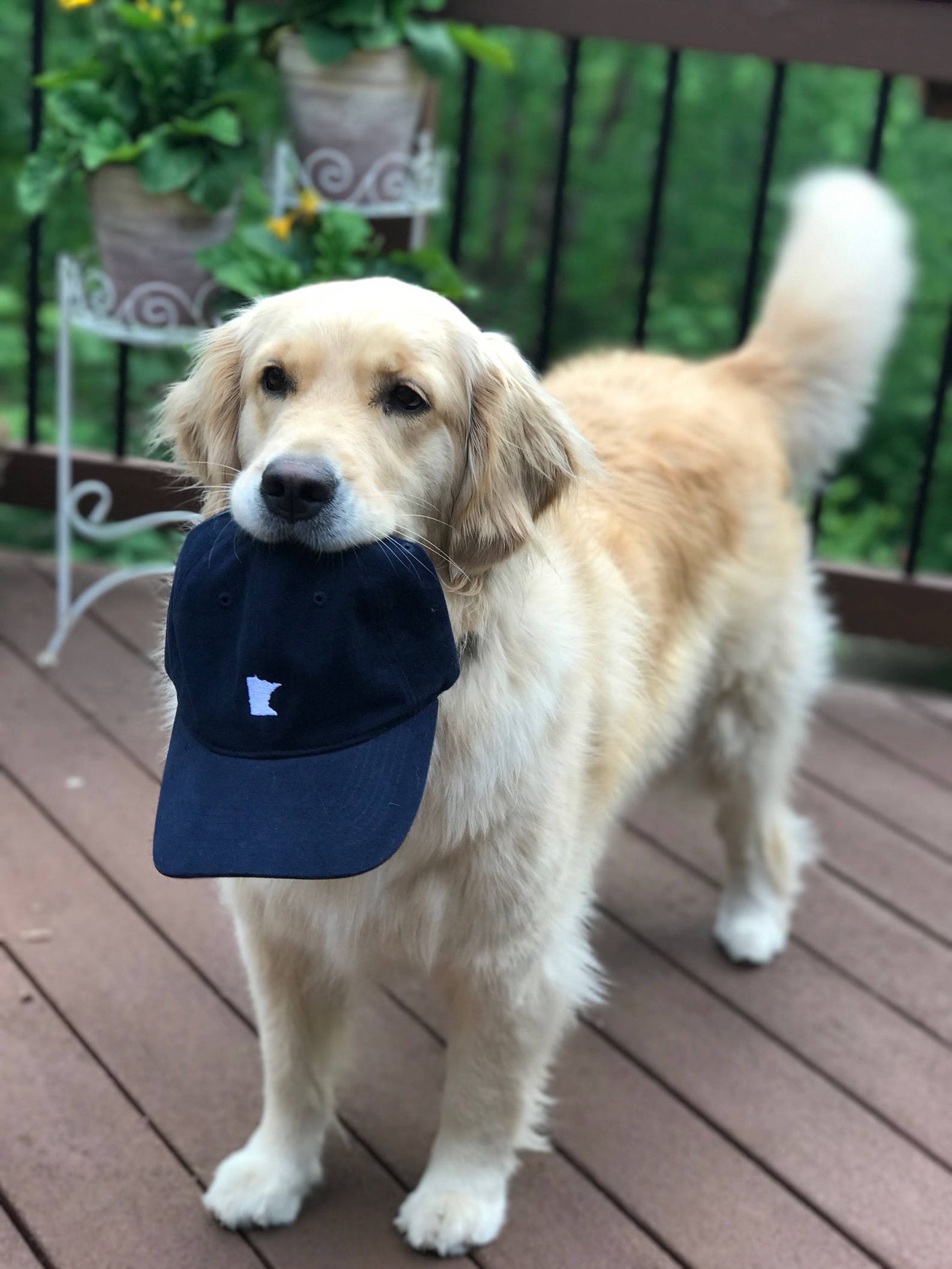 Navy Minnesota Hat - Etsy