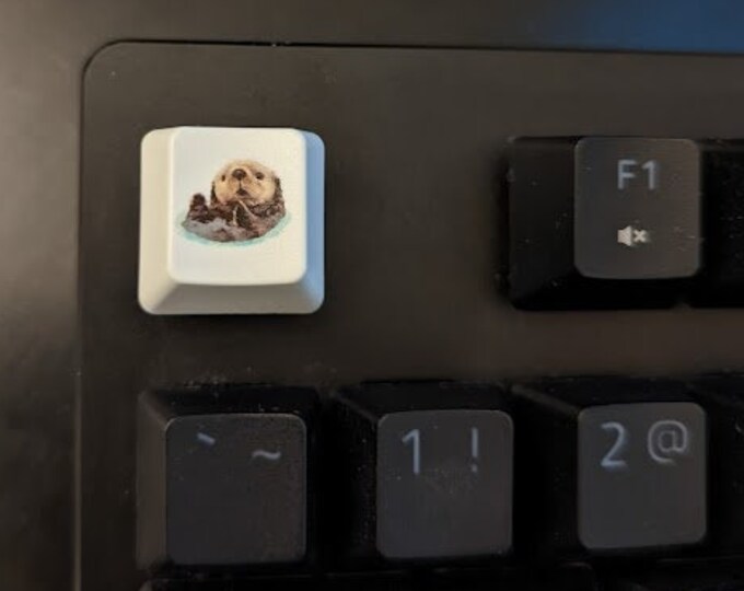 Otter Keycap || for Mechanical Cherry MX Switches || - Etsy