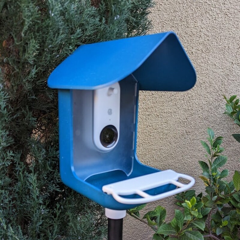 Bird Buddy Replacement Parts - Etsy
