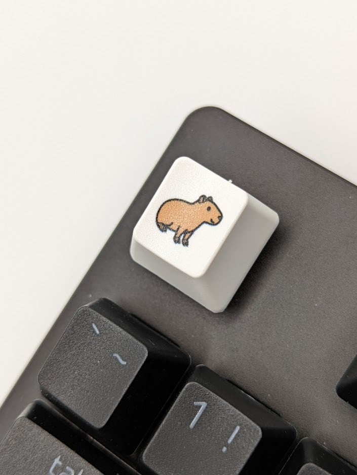 Capybara keycap - Etsy México