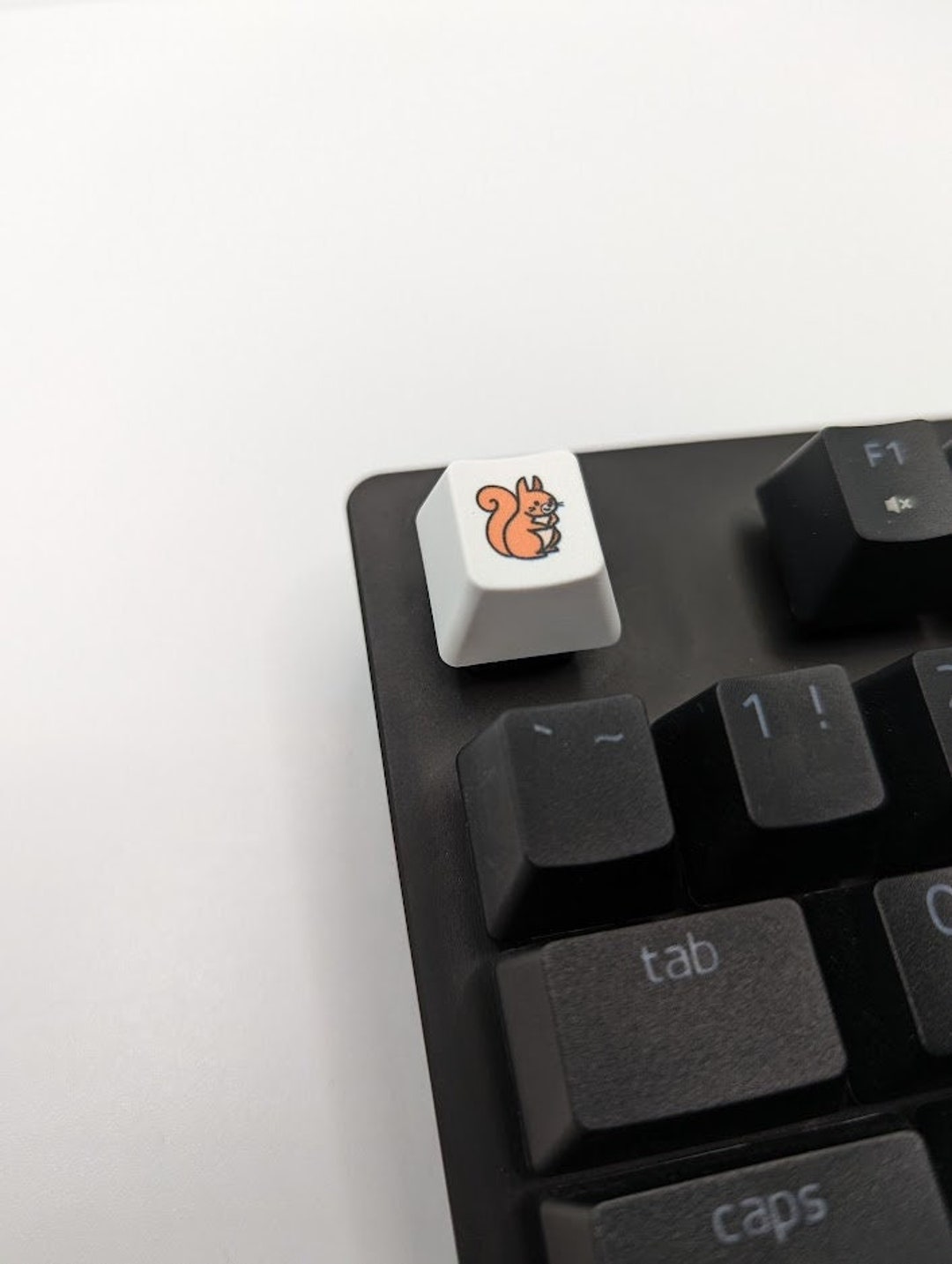 Squirrel Keycap for Mechanical Cherry MX Switches - Etsy
