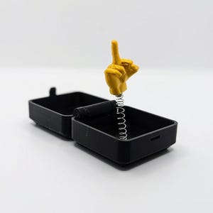 Surprise Middle Finger in a Box | Gag Gift | Stocking Stuffer ...