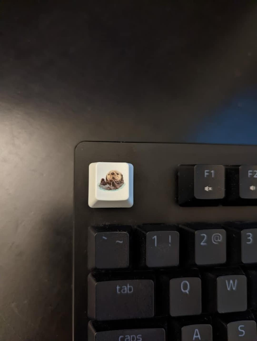 Otter Keycap || for Mechanical Cherry MX Switches || - Etsy