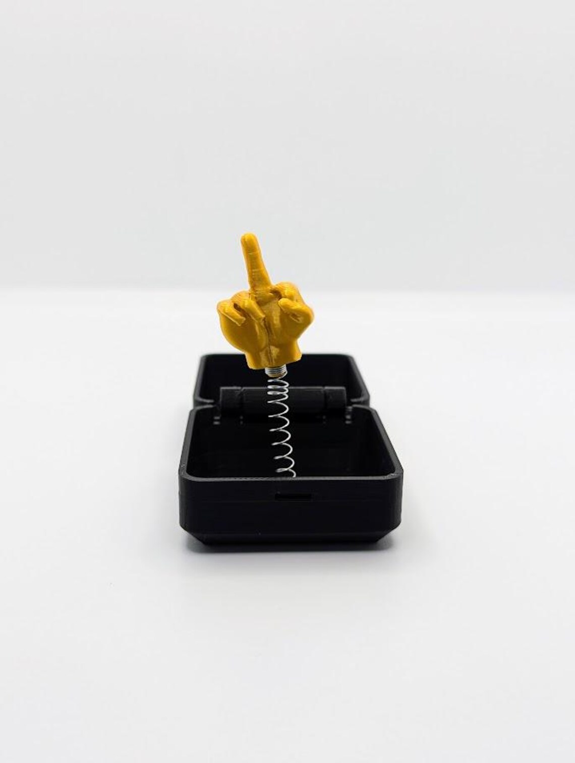 Surprise Middle Finger in a Box | Gag Gift | Stocking Stuffer ...