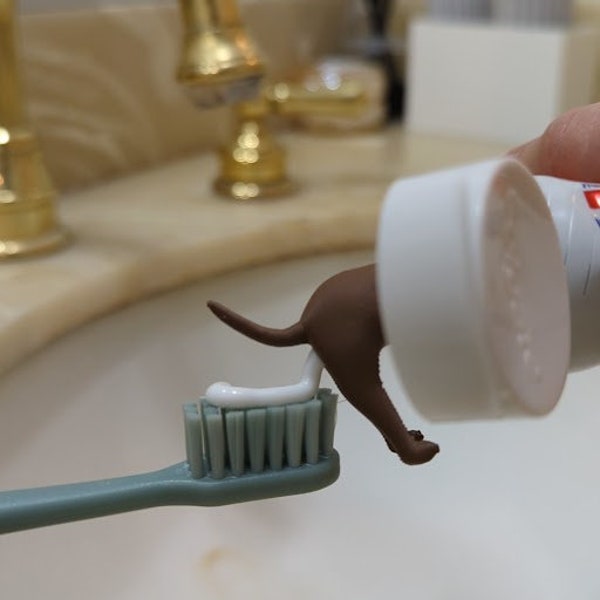 Dog Toothpaste - Etsy