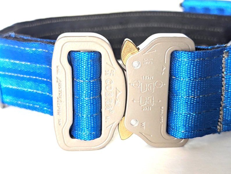The X-treme Cobra Collar 1.5" E Collar With Handle - Etsy