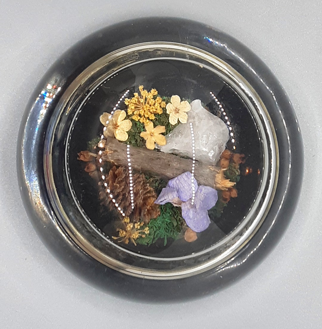 Vintage Glass Dome Paperweight With Dried Flora and Quartz - Etsy