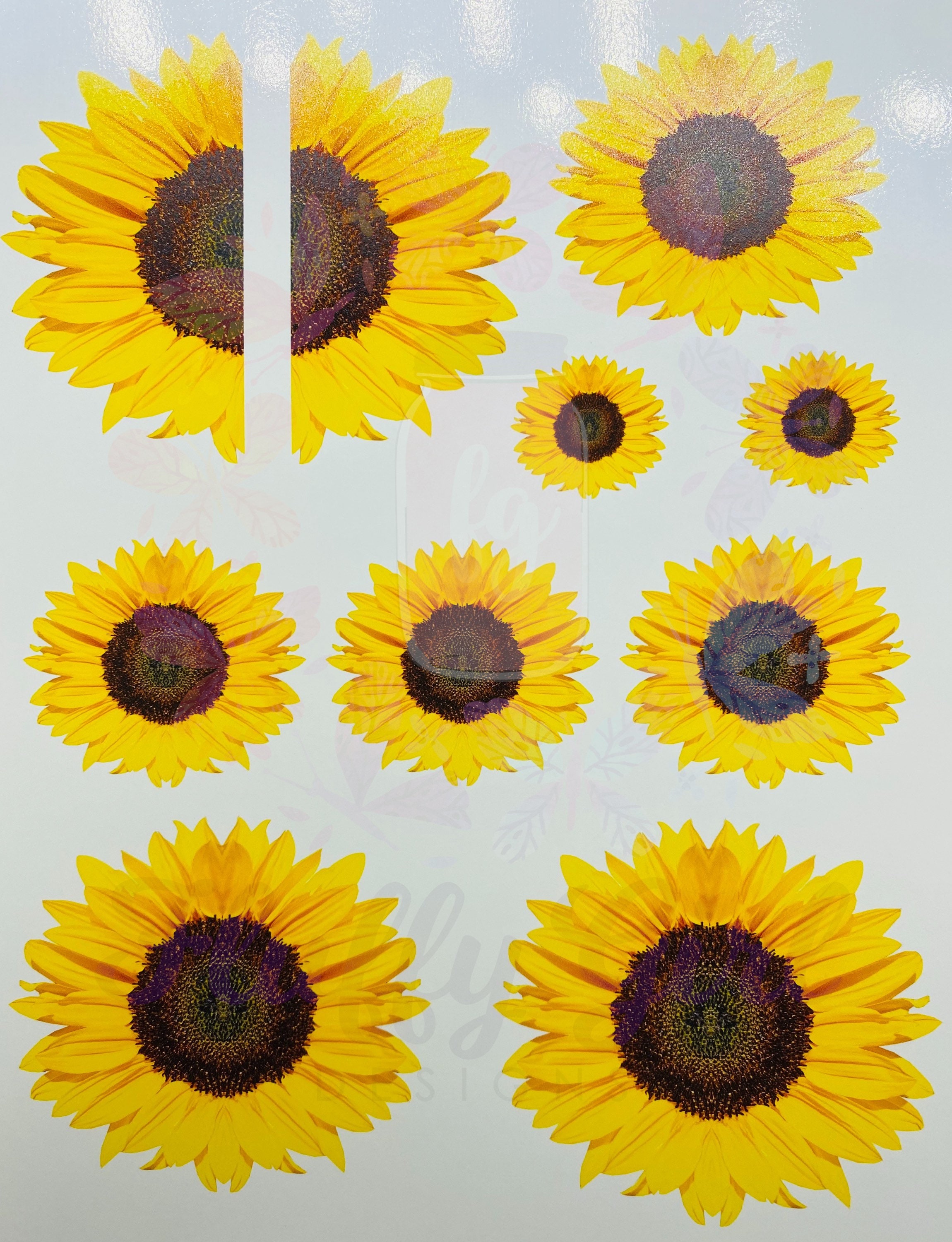 Waterslide, Sunflower, Sunflower Waterslide, Tumbler Waterslide, Water ...