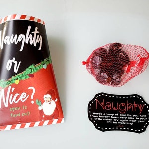 Naughty or Nice Christmas Fun Goodie Bags Bulk Classroom Gifts Treats ...