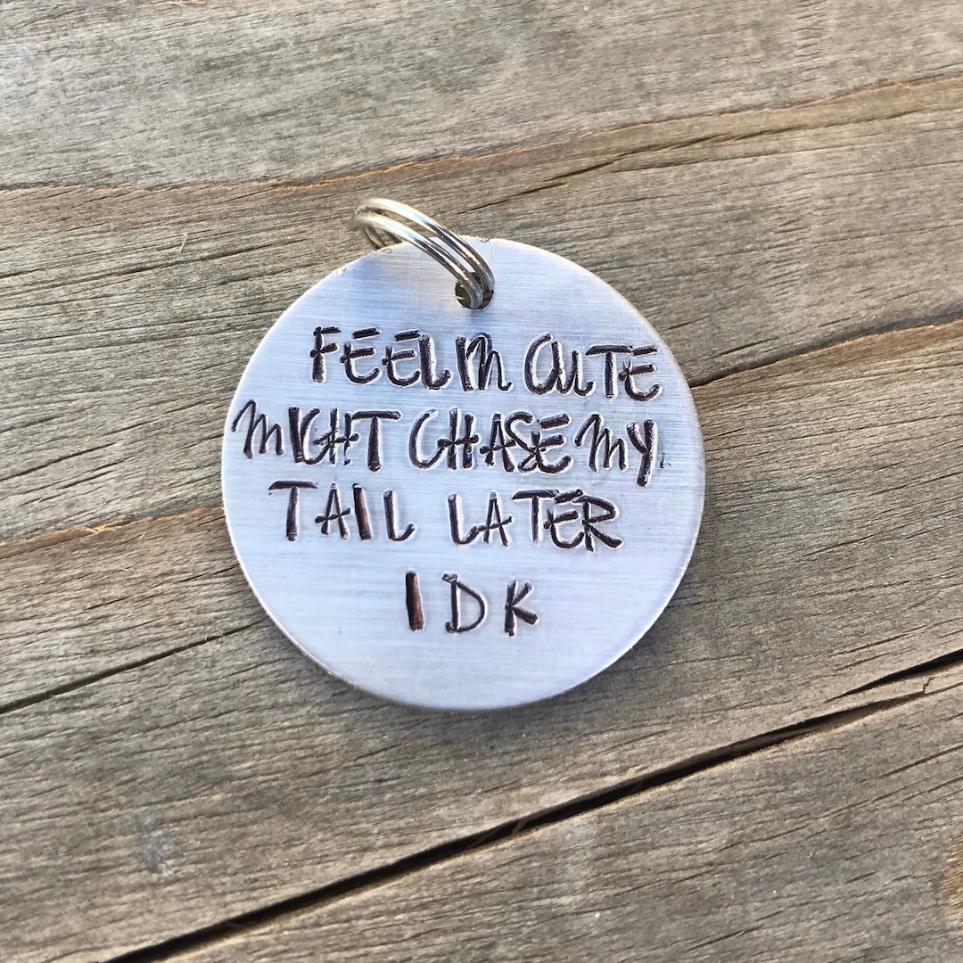 Feelin Cute Might Chase My Tail Later Idk Pet Tag Fun Pet - Etsy